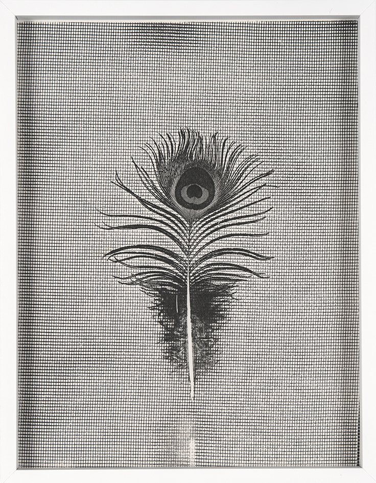 Pati Hill ;Air de Paris