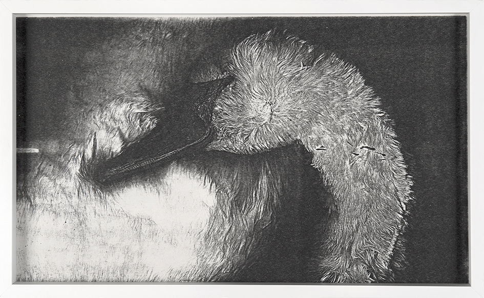 Pati Hill ;Air de Paris